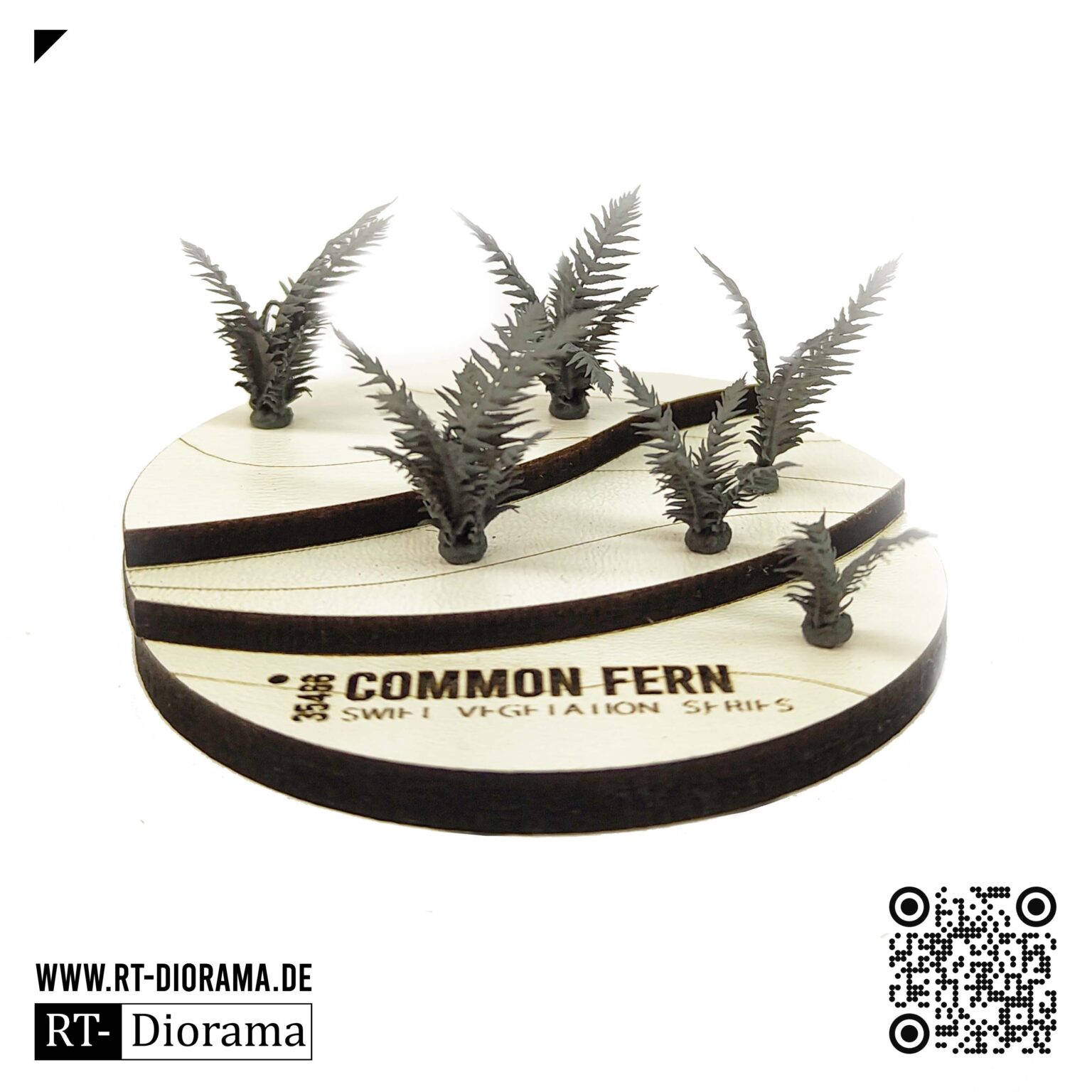 Common Fern Set - RT-Diorama
